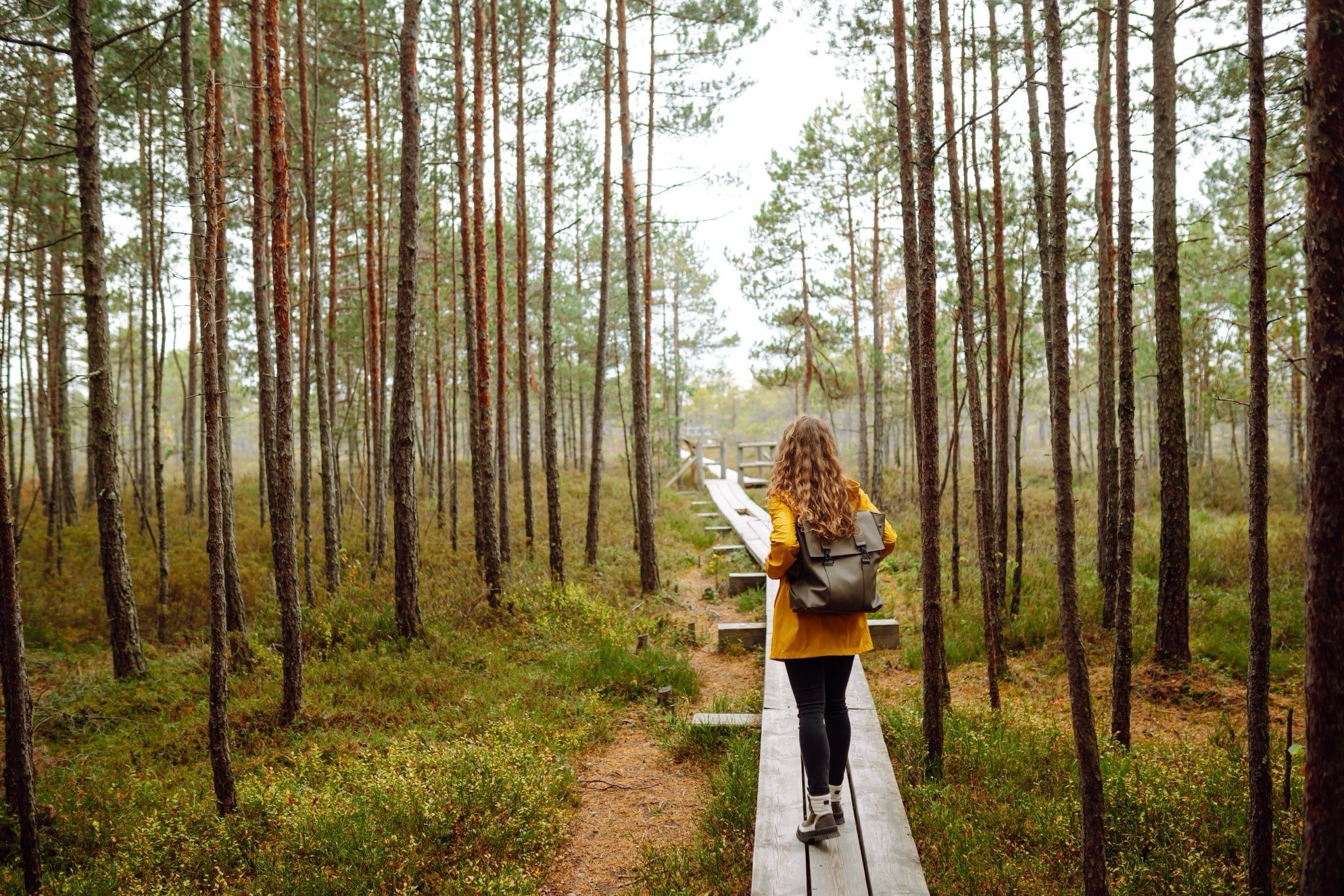 Top Nature Trails in the Baltic States for Outdoor Enthusiasts - VanBaltic